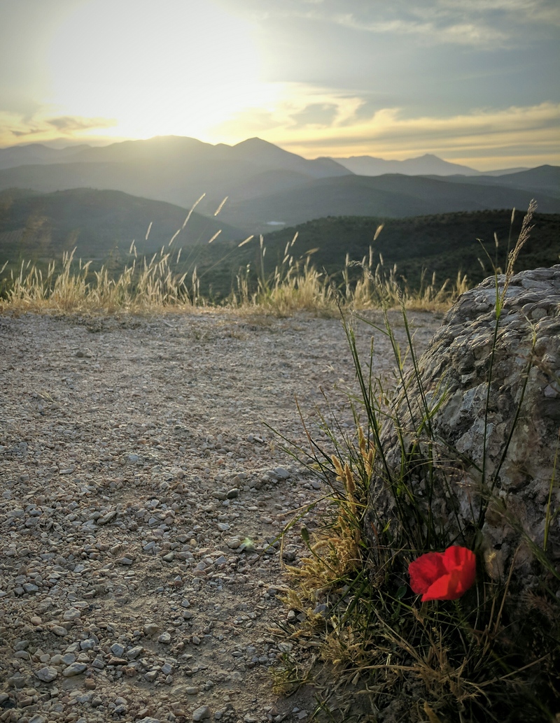 Photo Journal Of An Incredible Greece Holiday • One Brick At A Time